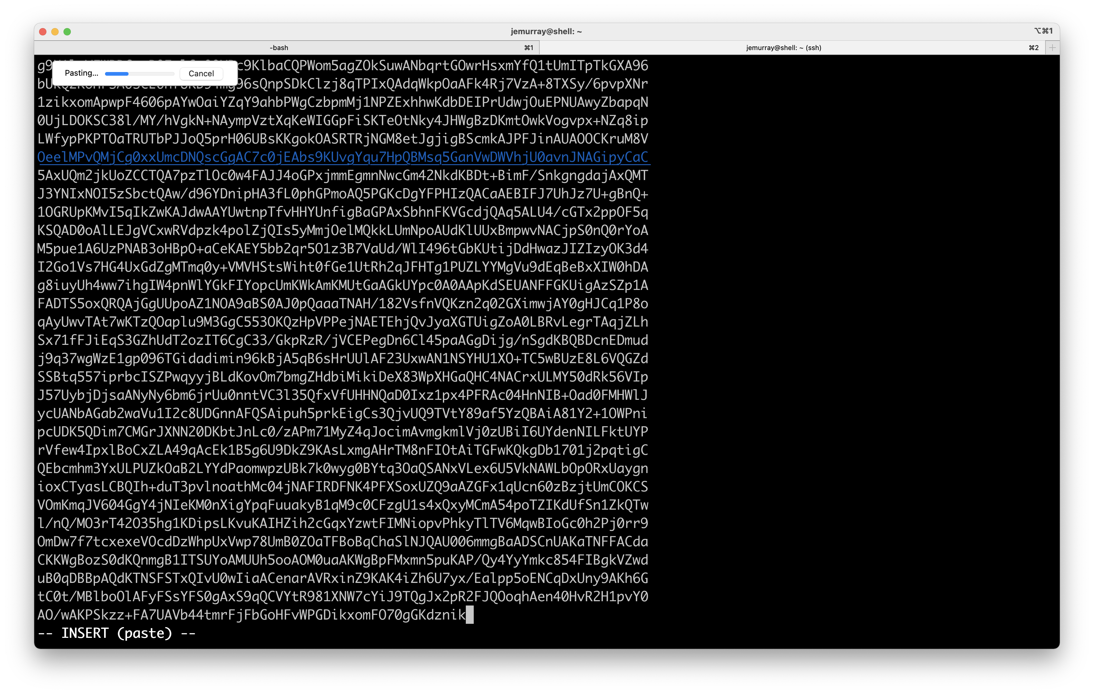 Automatically Convert Binary Data In The Paste Buffer To Base64 Encoded